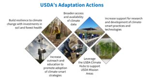 Adaptation - Biology Simple