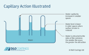 Capillary Action - Biology Simple