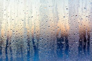Condensation - Biology Simple