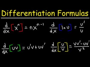 Differentiation - Biology Simple