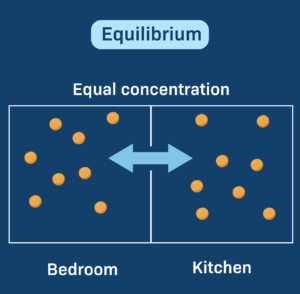 Passive Transport - Biology Simple