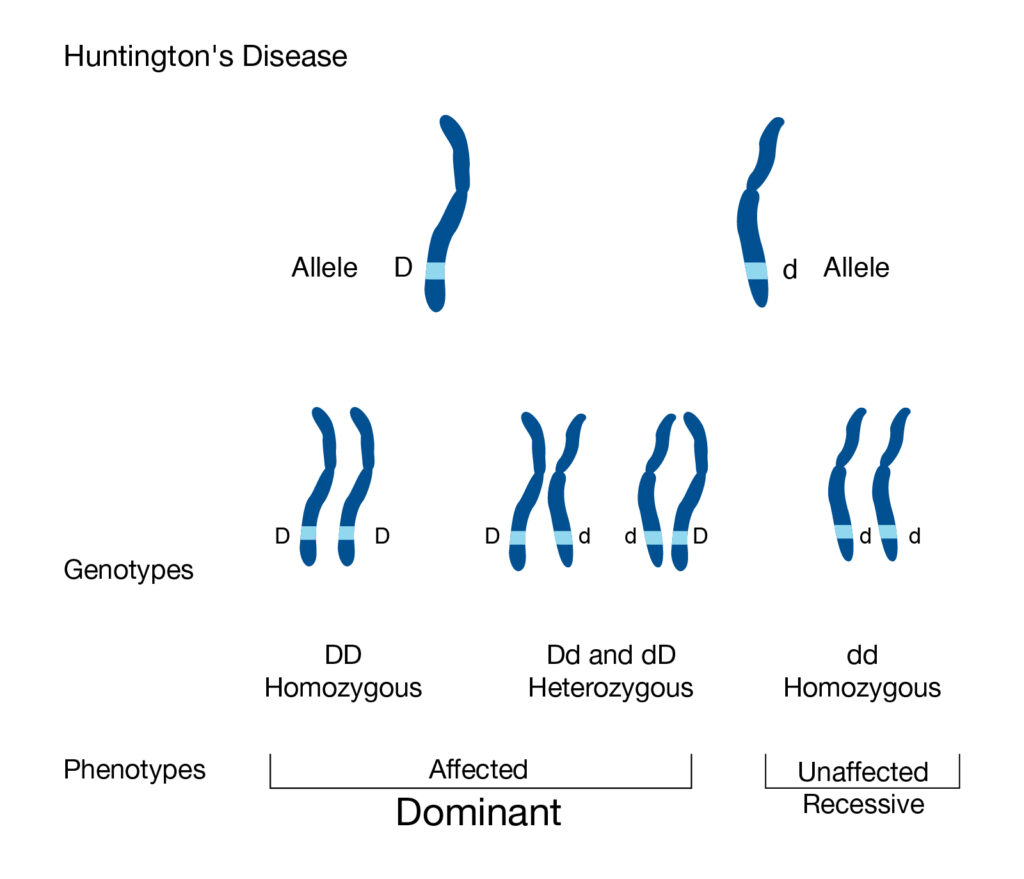 Coevolution - Biology Simple