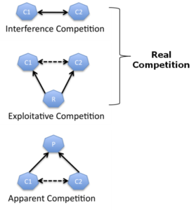 Cell Division - Biology Simple