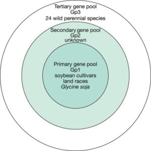 Gene Pool - Biology Simple