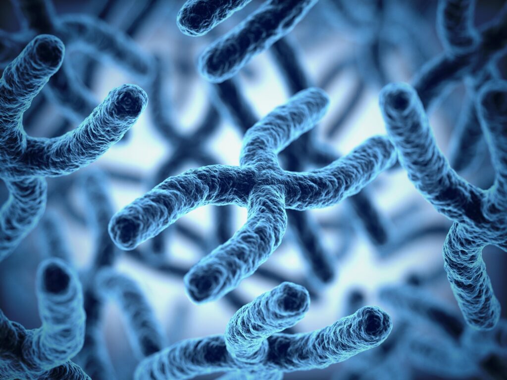 Dimorphism - Biology Simple