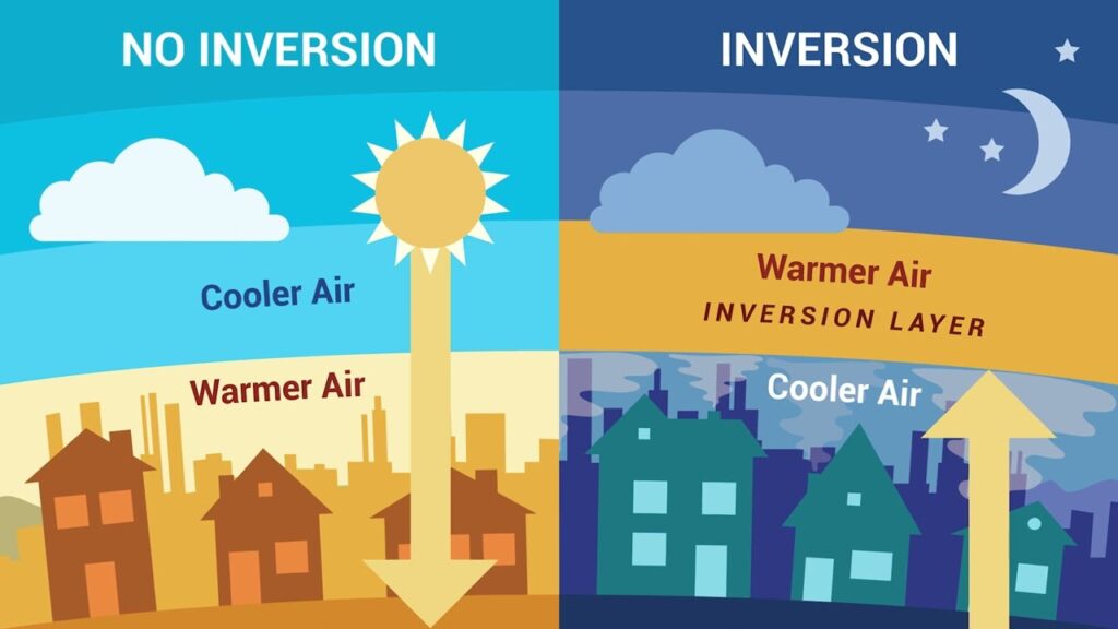 Inversion - Biology Simple