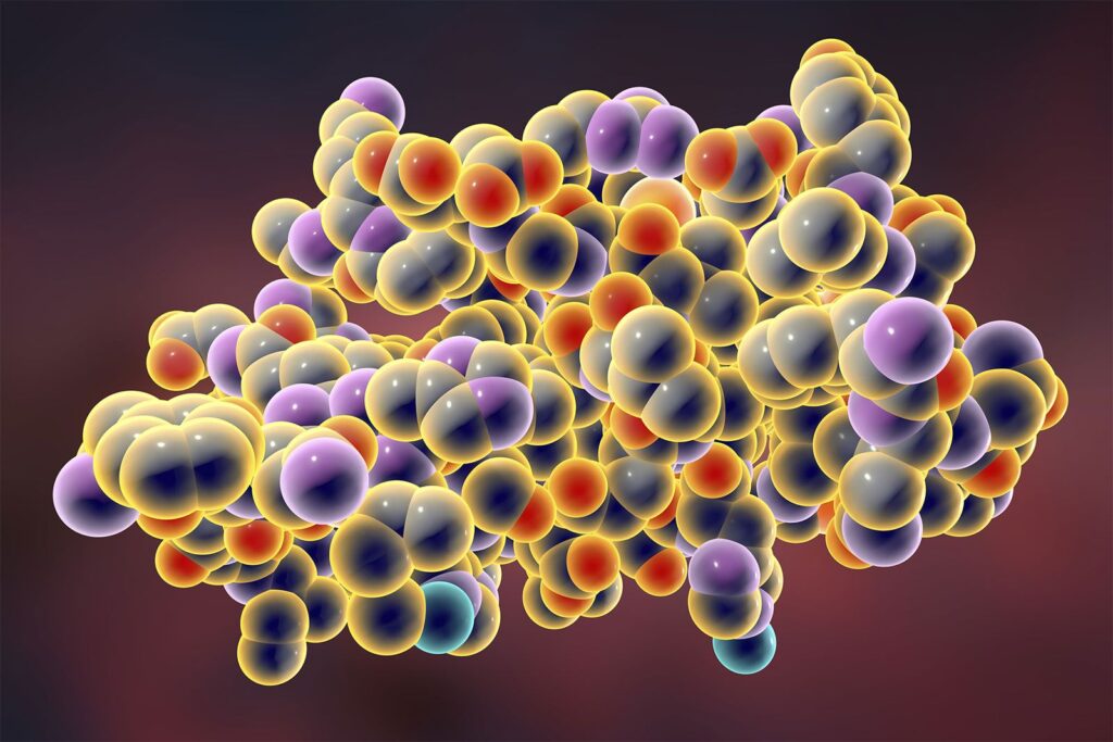 Biomolecule - Biology Simple