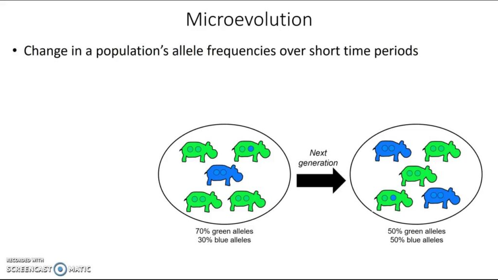Microevolution - Biology Simple