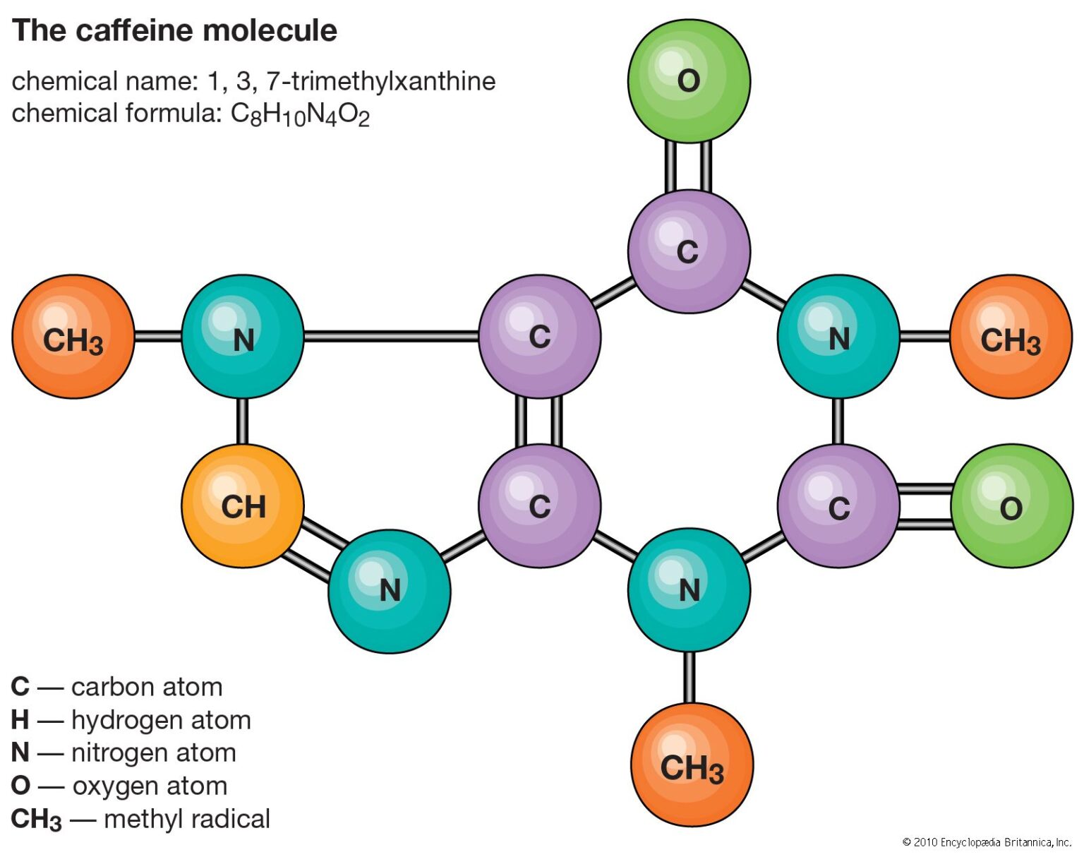 Molecule Biology Simple