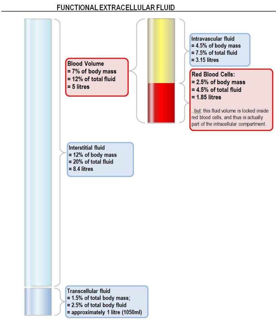 Extracellular Fluid - Biology Simple
